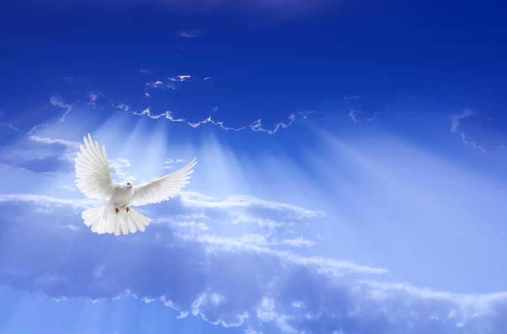 Espíritu Santo: ¿Cómo actúa el Espíritu Santo en un creyente?